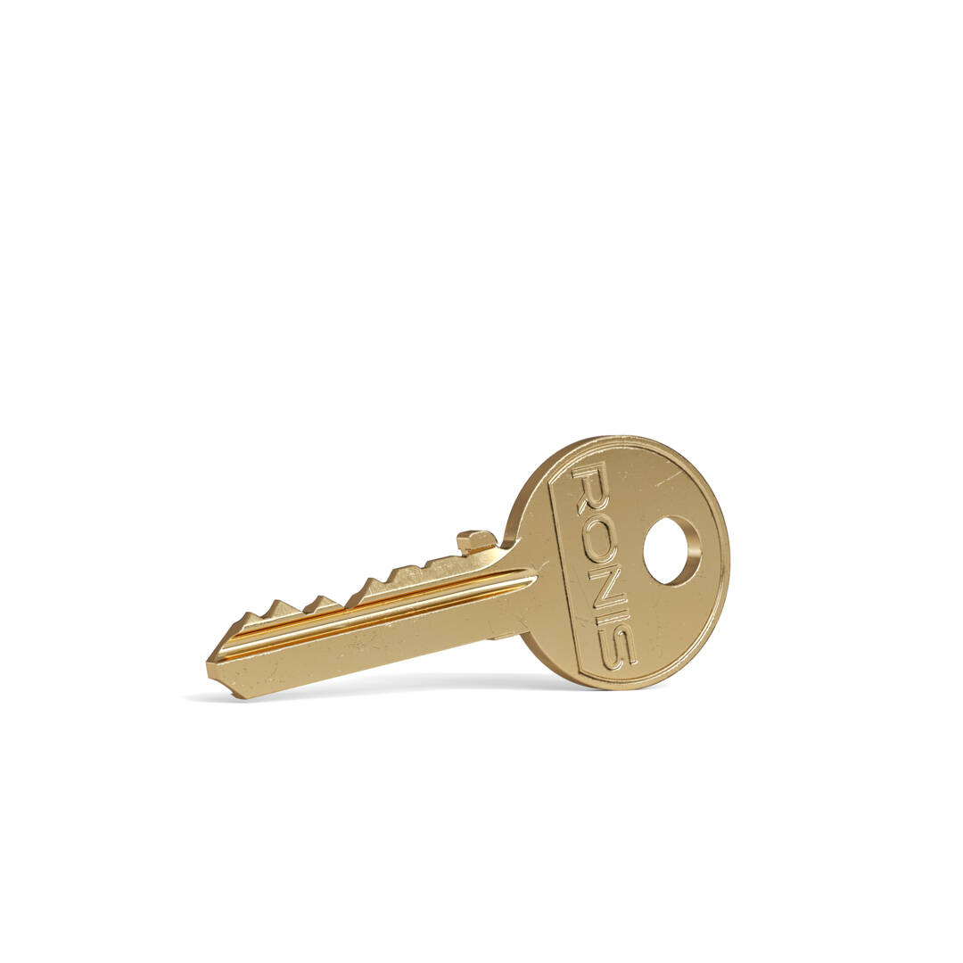 RONIS EL11 EL11AP - Isolation Locks - DOM Sicherheitstechnik