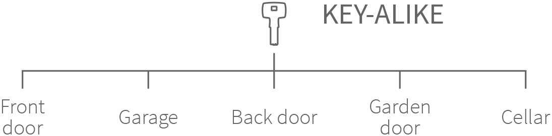 DOM ix Family | Secure your home